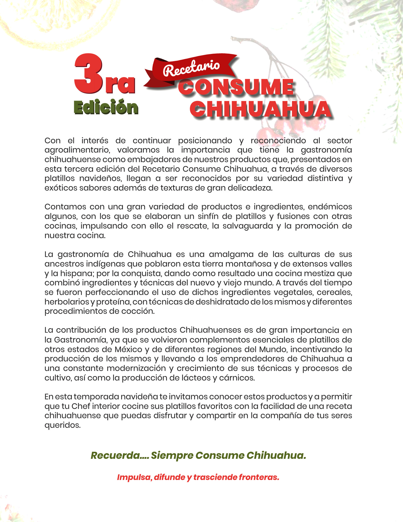 Recetario CEACH 03